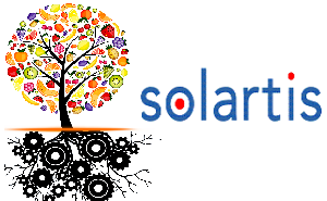 Welcome to Solartis Insurance System